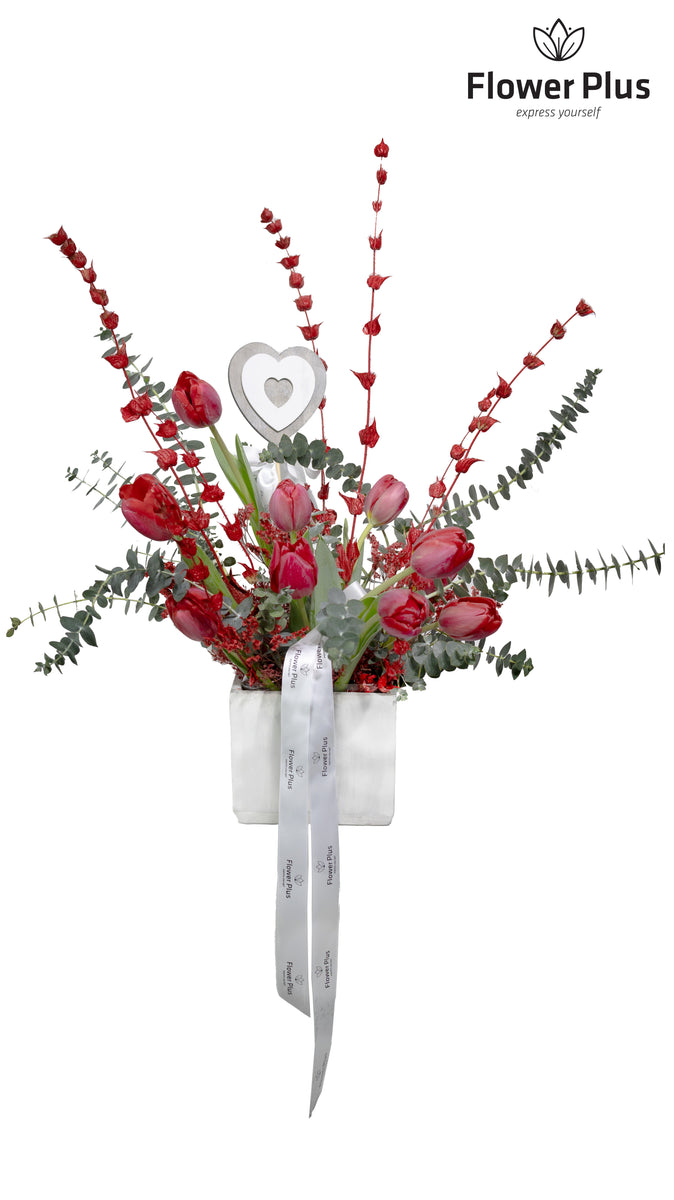 Classic Tulip – Flower Plus