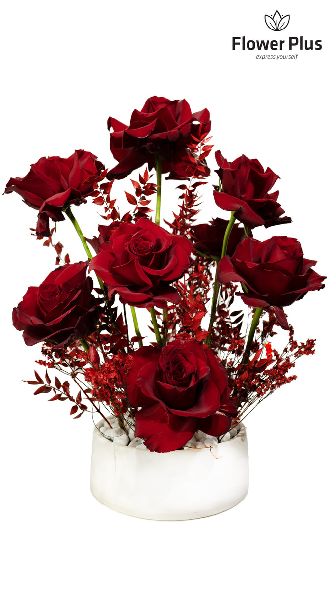 Modern Glow – Flower Plus