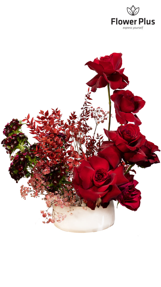 Red Meidiland – Flower Plus