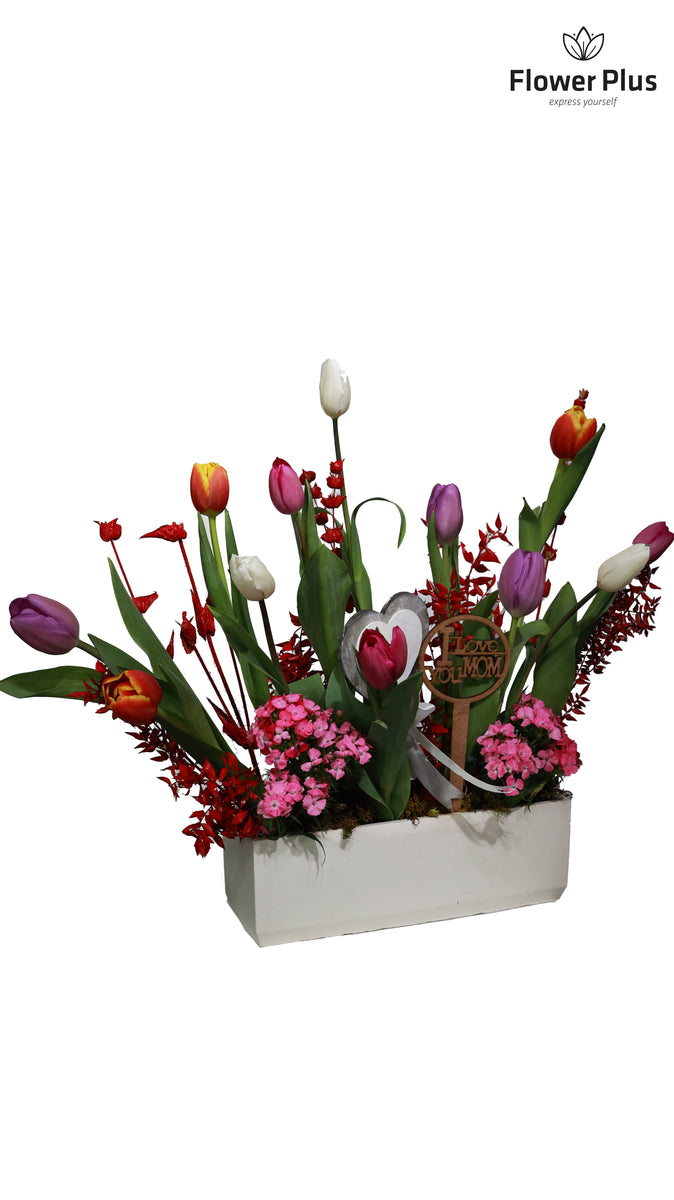 Blooming marvellous – Flower Plus