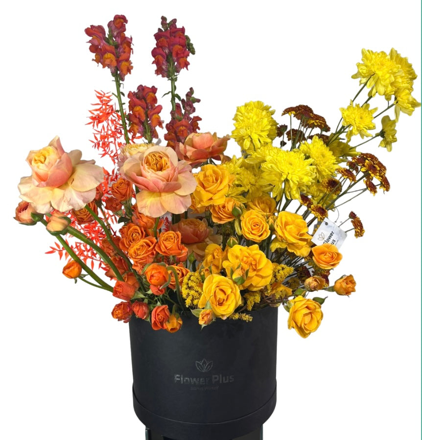 Juicy Orange – Flower Plus