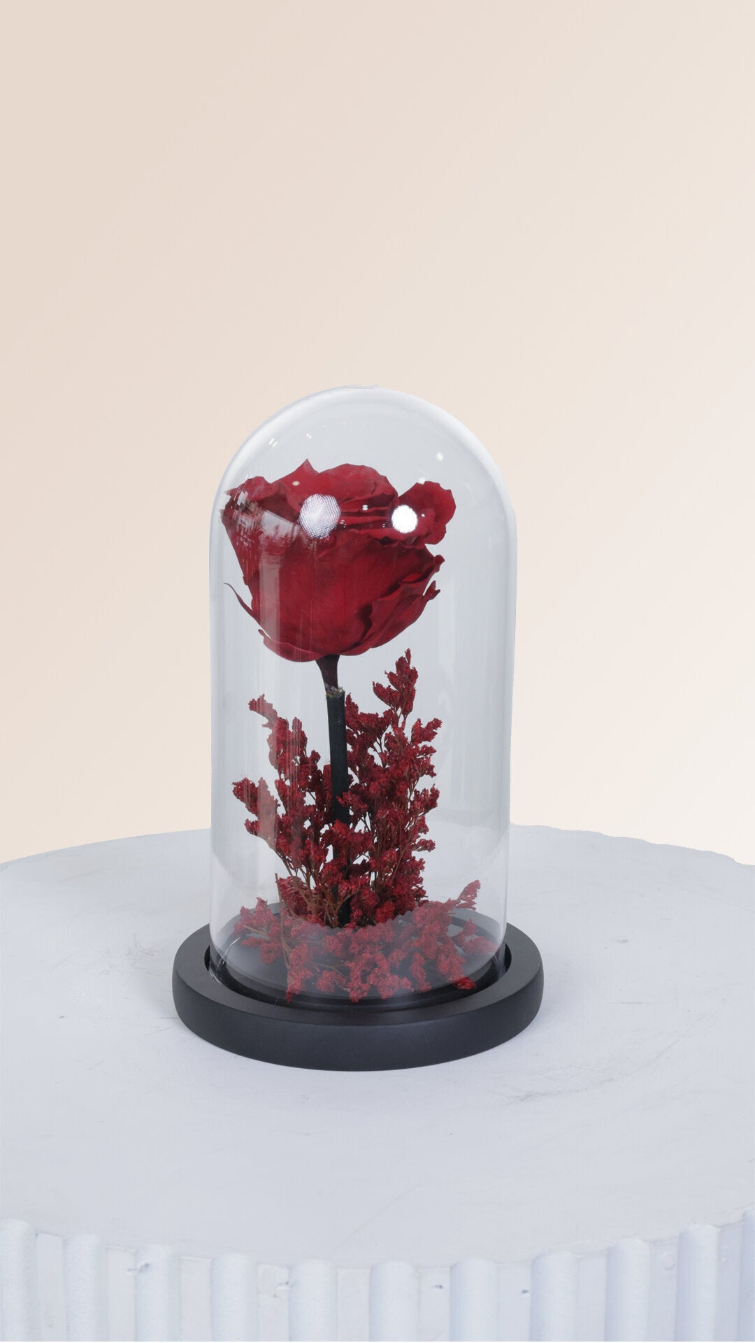 Timeless Rose – Flower Plus