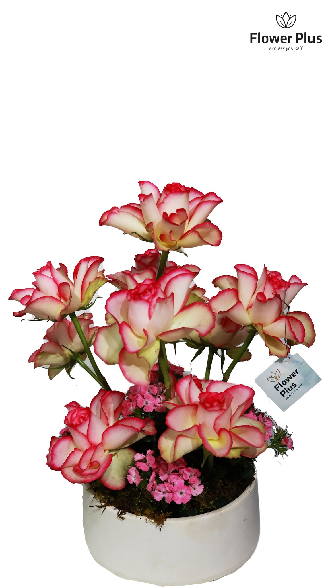 Floral fancy – Flower Plus