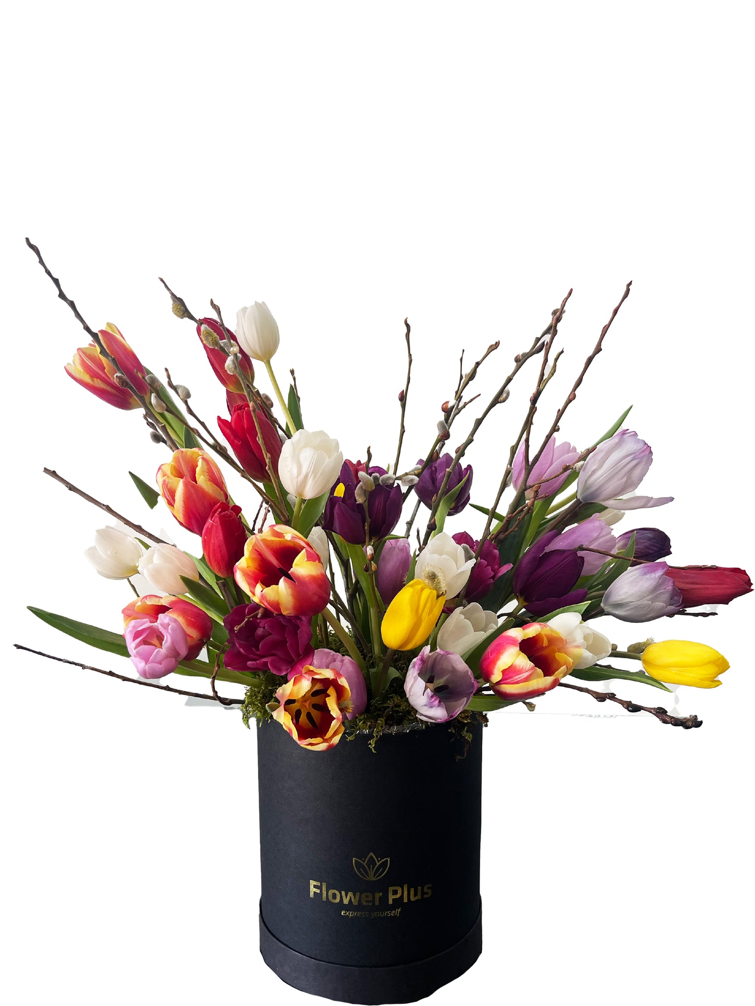 Tulip Tango – Flower Plus