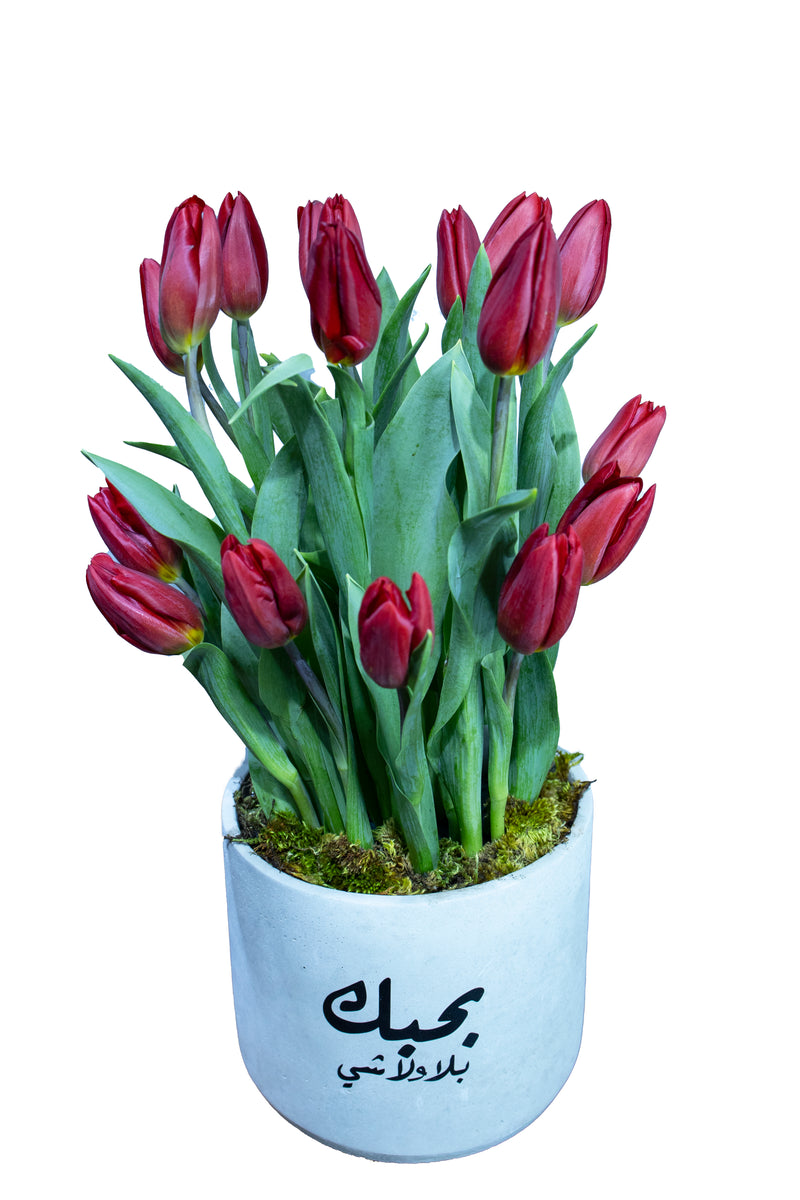 Bala Wala Chi – Flower Plus