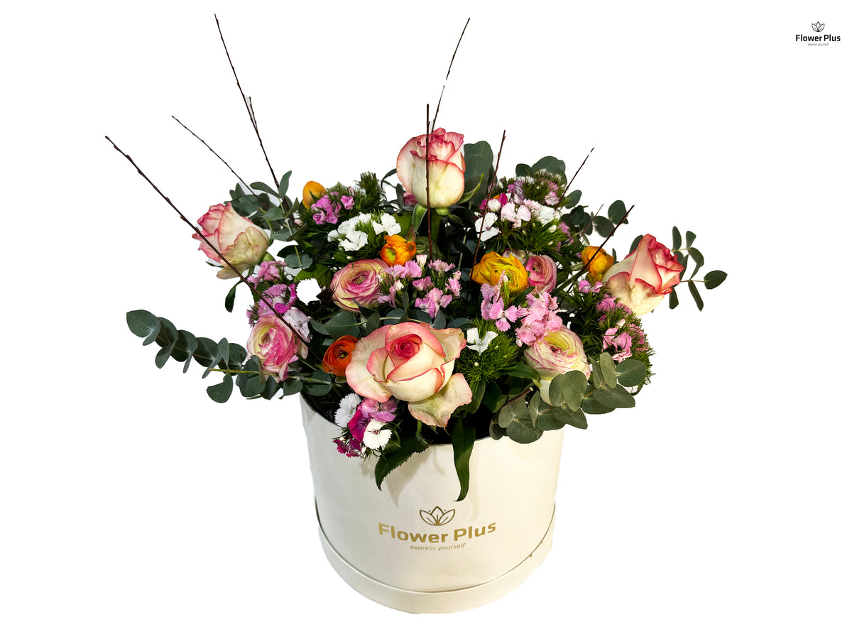 Colorful – Flower Plus