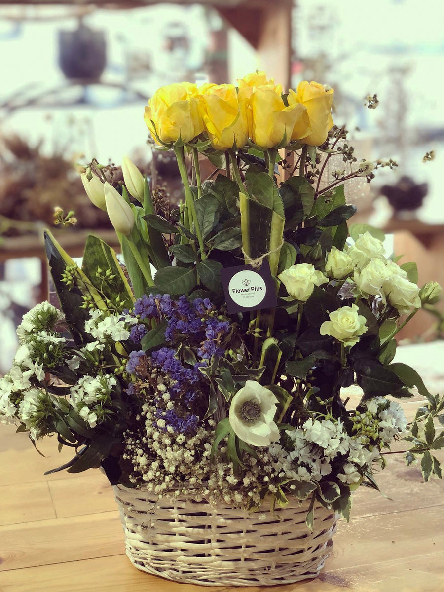 New Arrival – Flower Plus