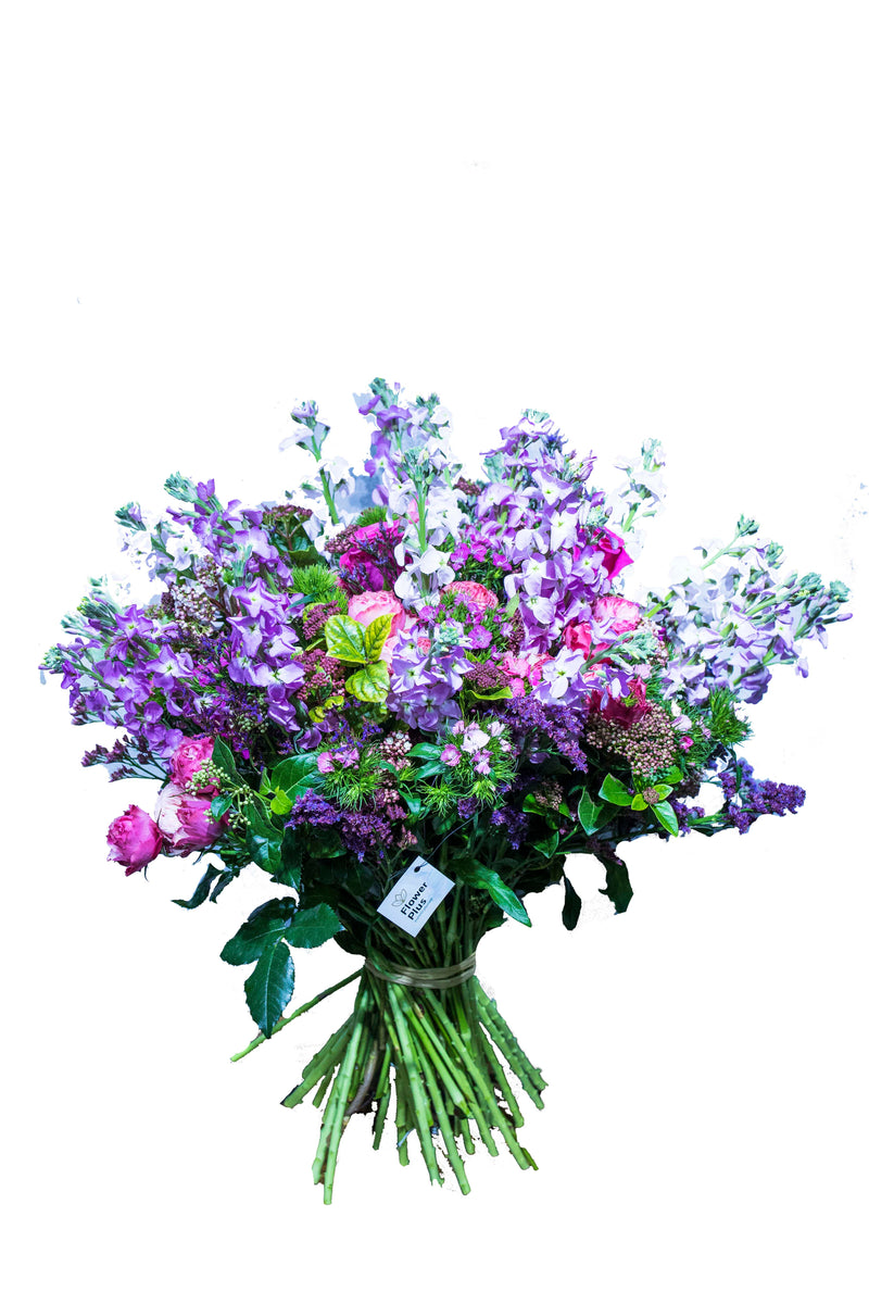 Fusion – Flower Plus